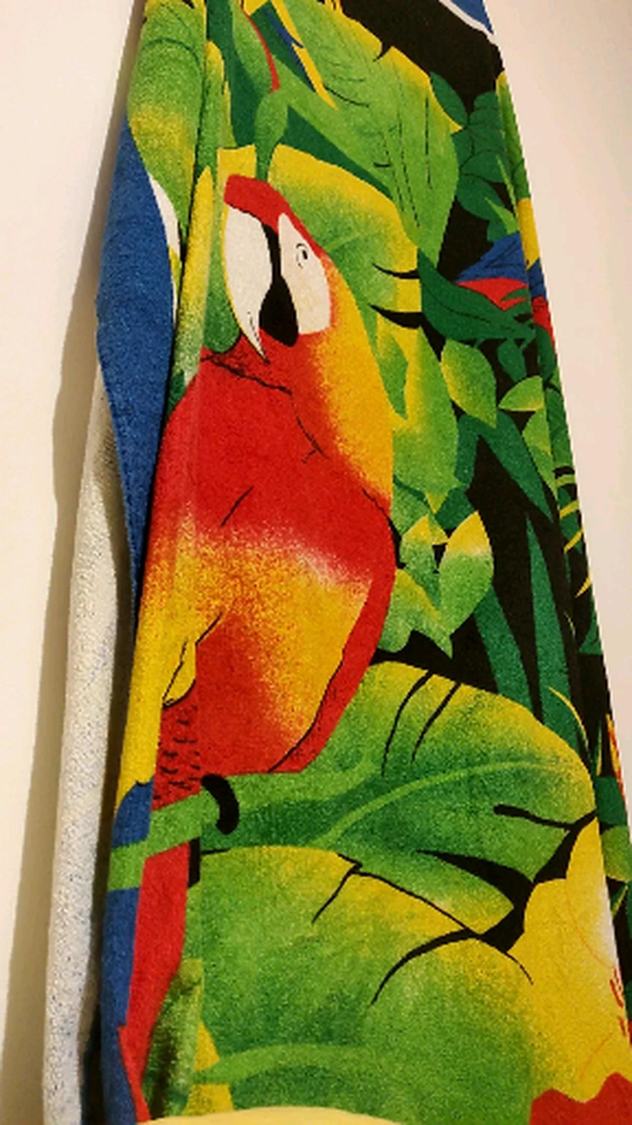 Who is Yannis Brand?