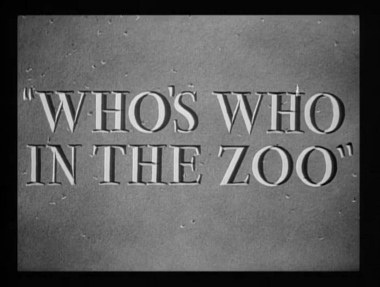 Looney Tunes - Who's who in the Zoo
