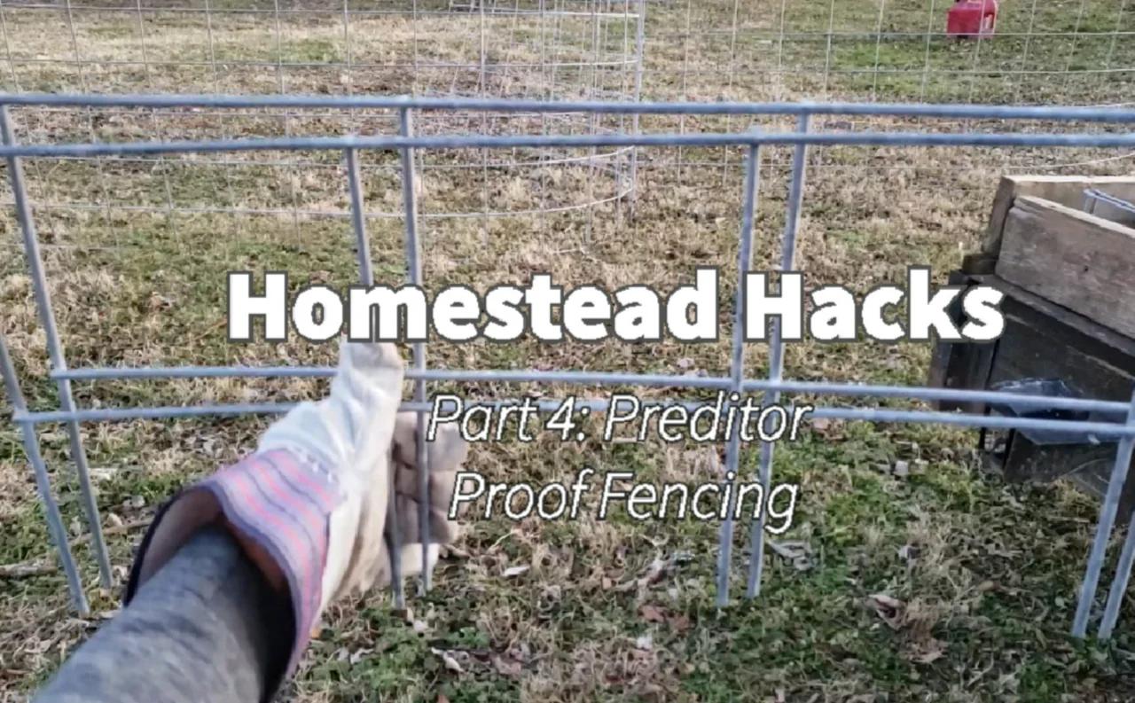 Homestead Hacks Part 4: Predator Proof Fencing