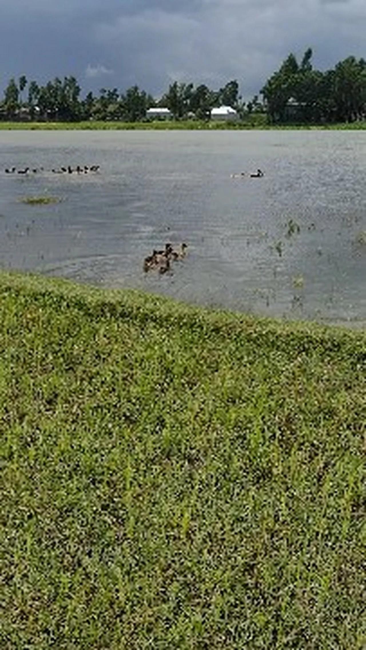 The village life inside river beautiful seen.