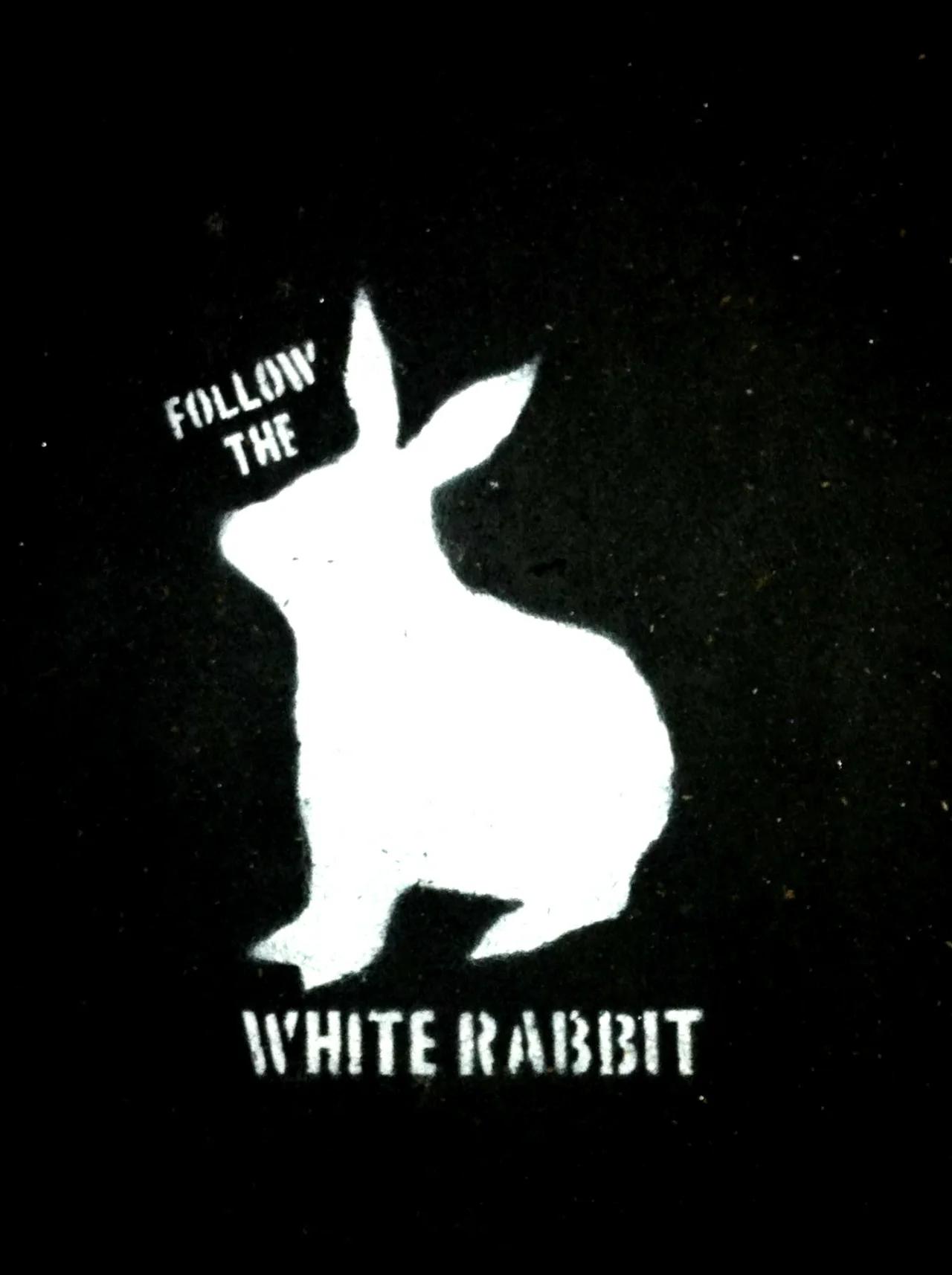The Matrix has you - Follow white rabbit