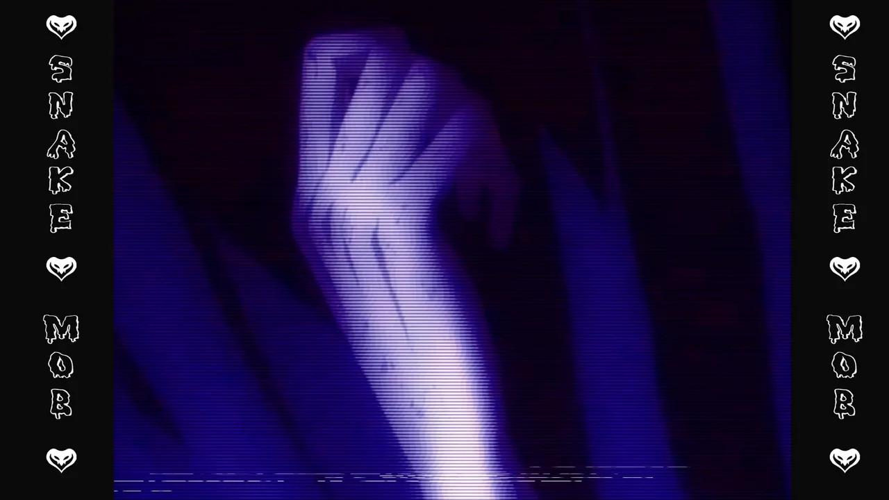 Chapter 7 // Snake Mob // Res Idiotica [2019]