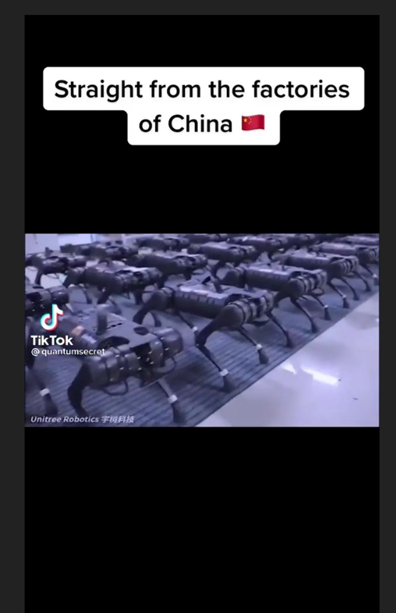 Police spider robots