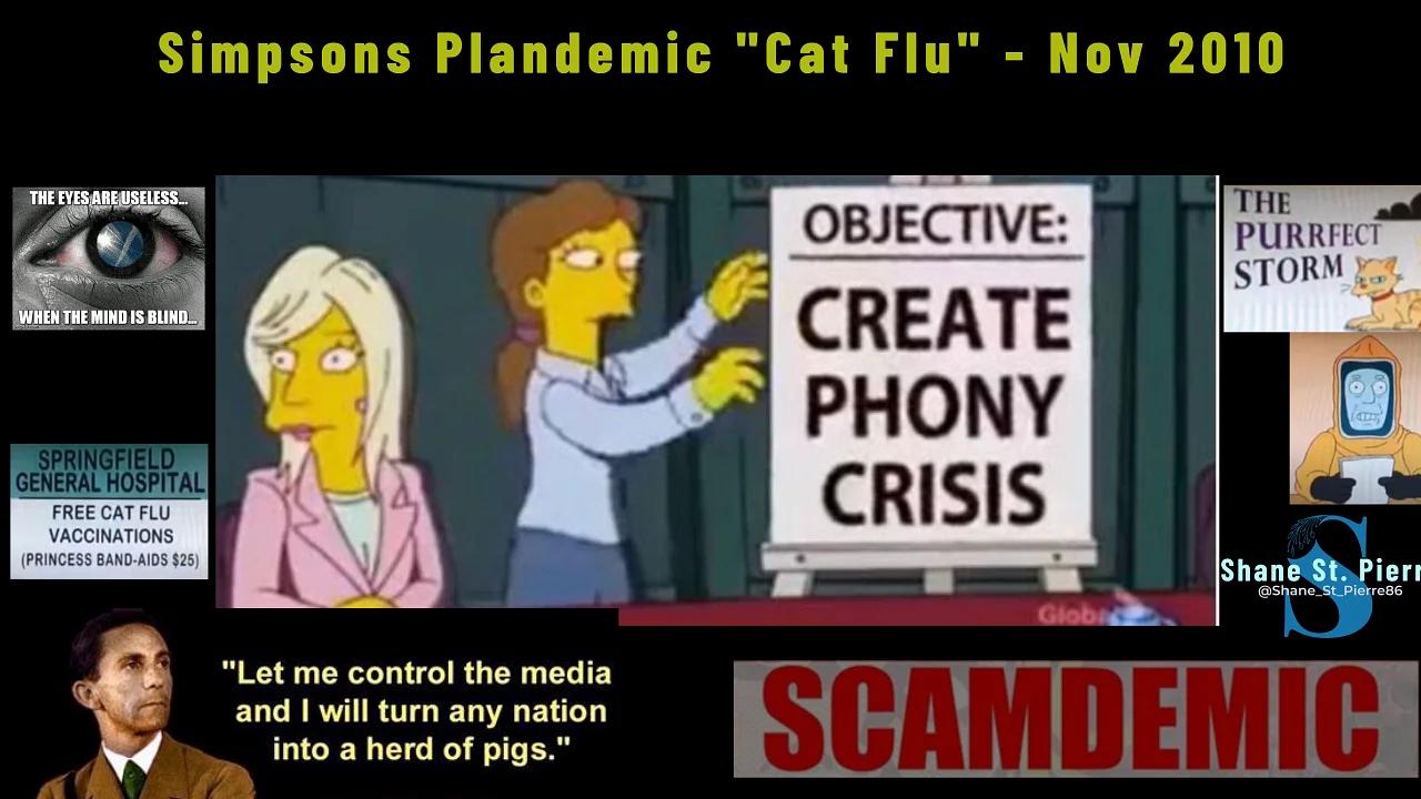 ⁣Simpsons - Cat Flu Plandemic