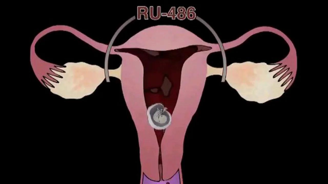 Henri de Lesquen : LA choah des enfants français