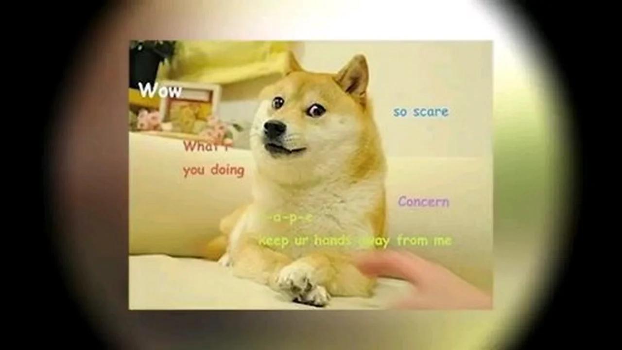 How Doge memes changed 2010-2020