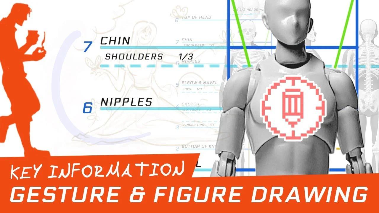 Drawing Basics #5 - Learn gesture drawing and the human figure