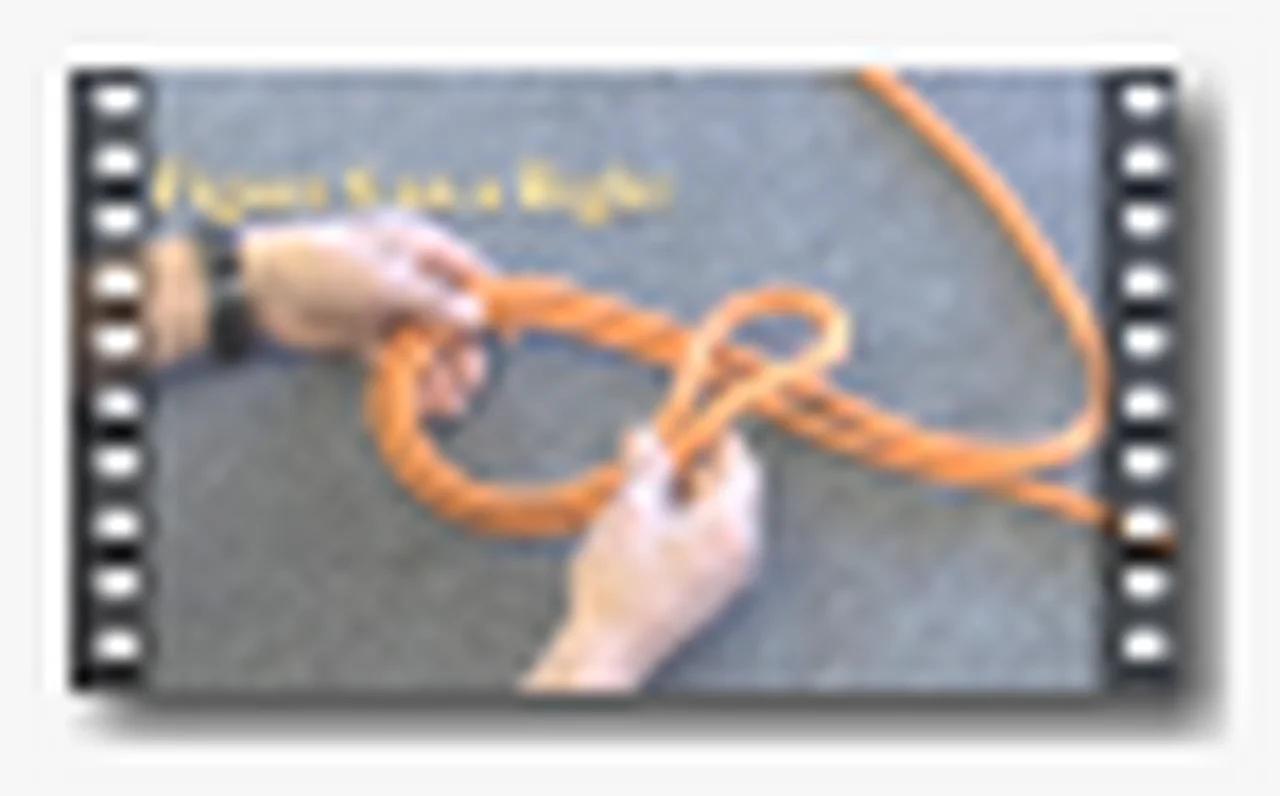 How to tie a Figure Eight on a Bight