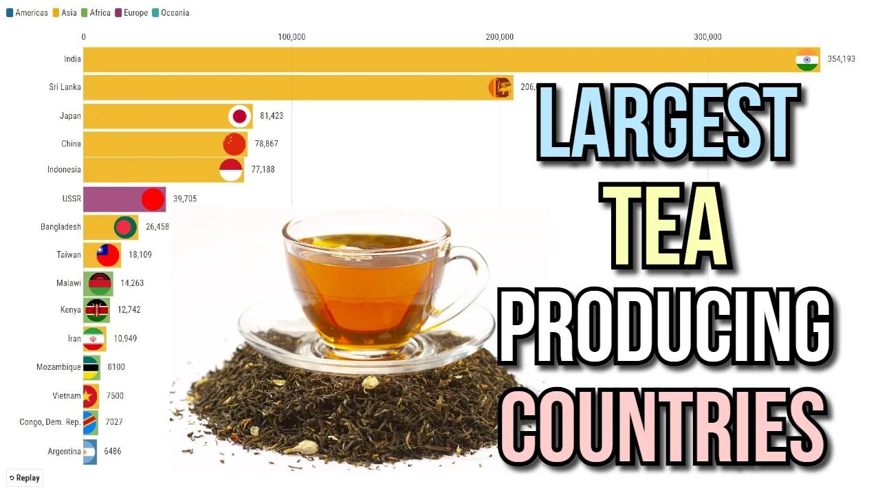 Largest tea producing countries