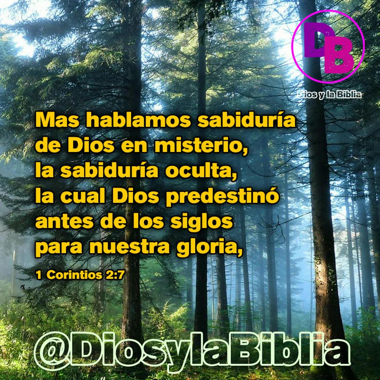 Mas hablamos sabiduría de Dios en misterio, la sabiduría oculta, la ...