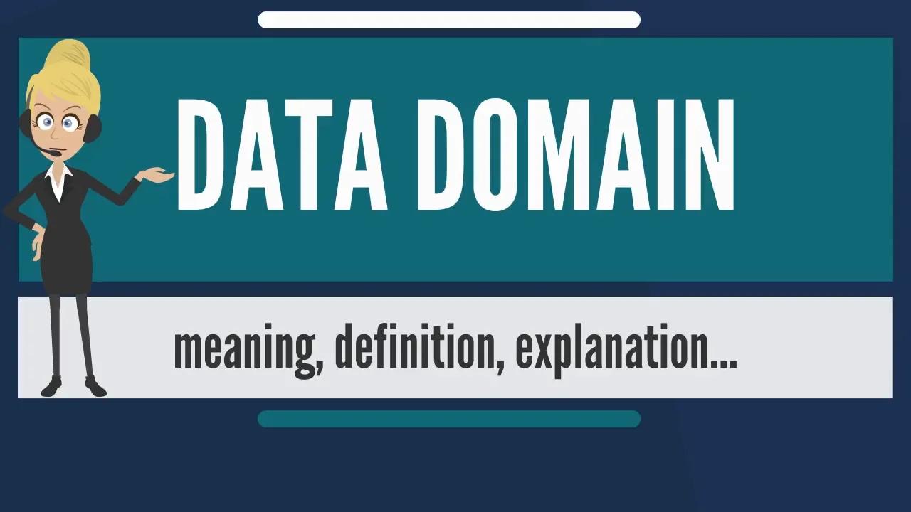 What is DATA DOMAIN?