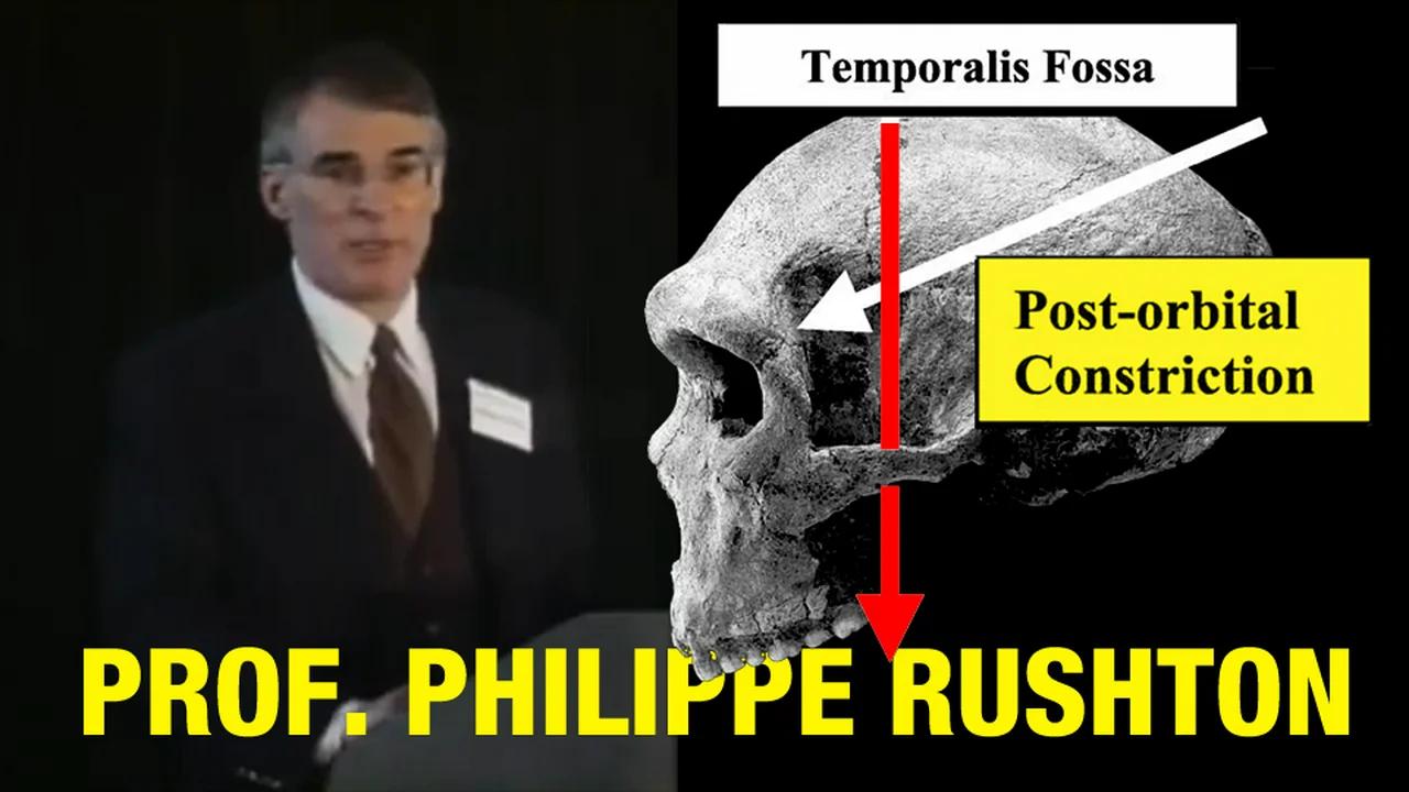 Racial differences in IQ | Prof. Philippe Rushton - "Latest Research on ...