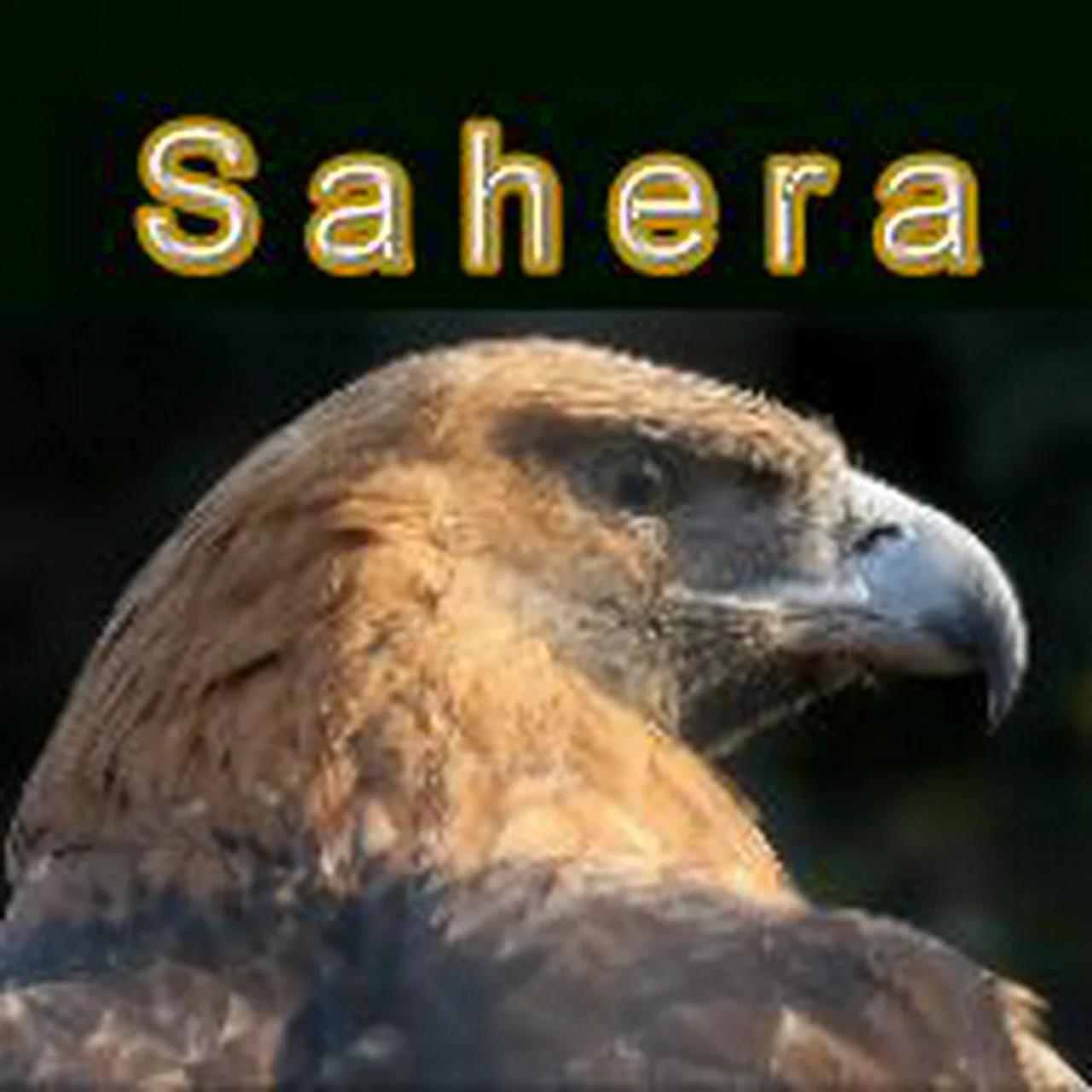 Sahera