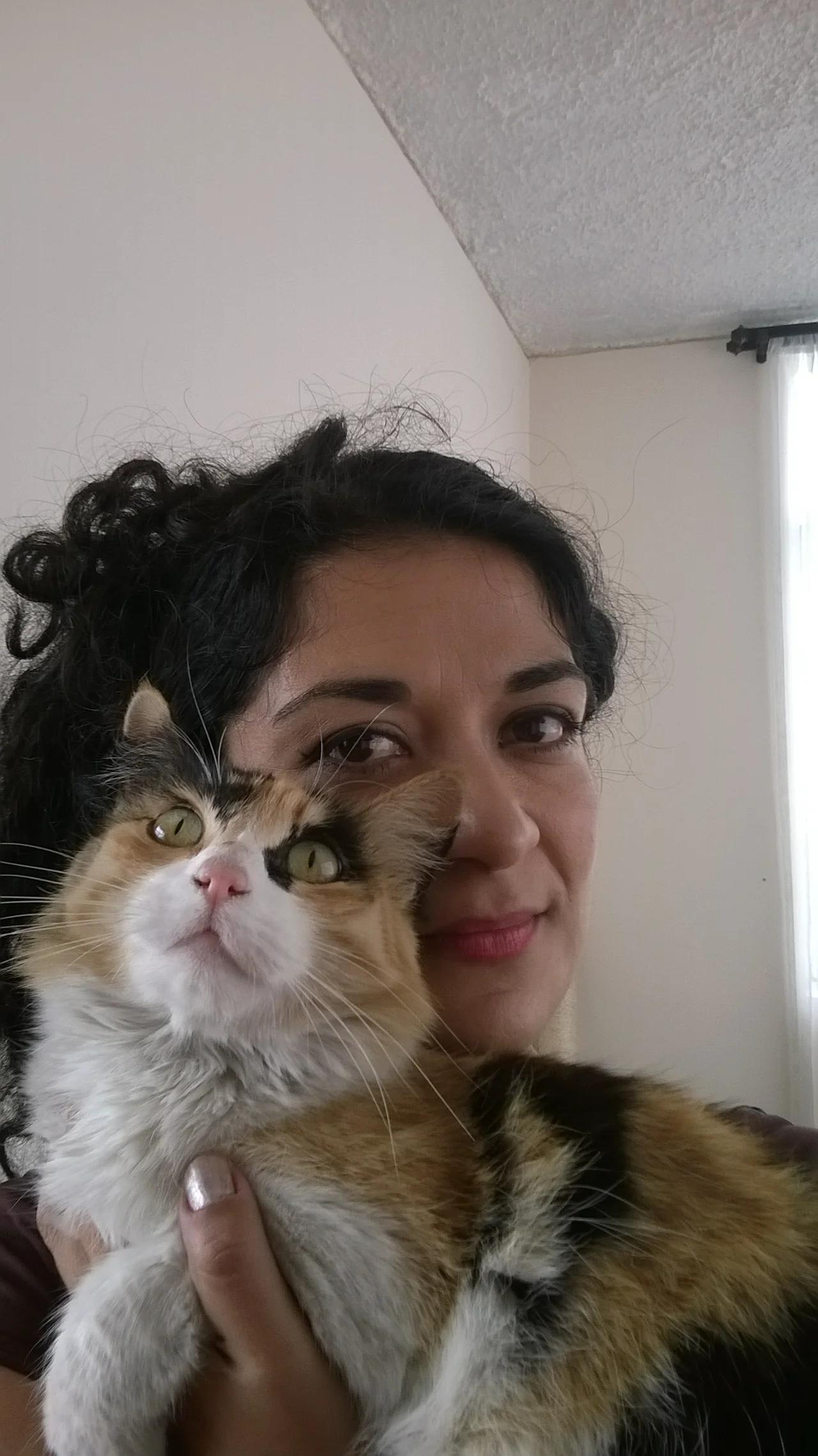 Importado de Youtube Golden Evolution Kito