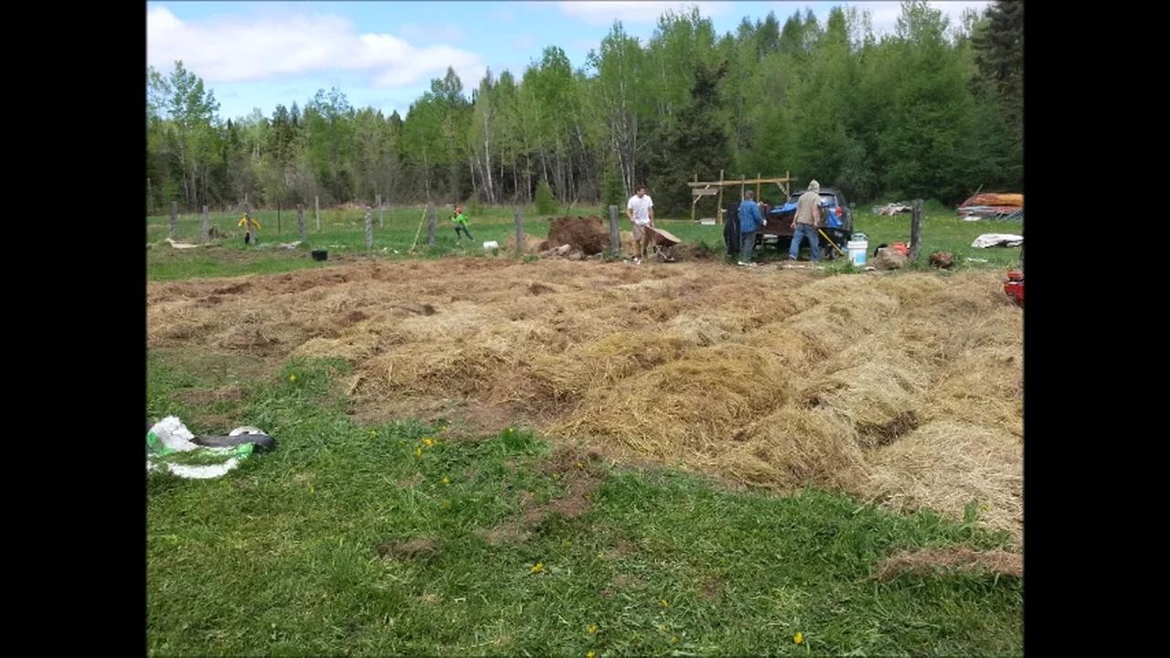 Using the Ruth Stout Method Plus Potatoes to Establish New Garden Beds