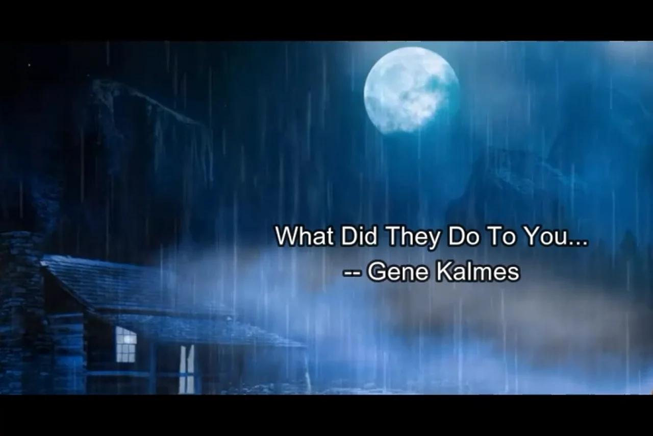 What Did They Do To You by Gene Kalmes