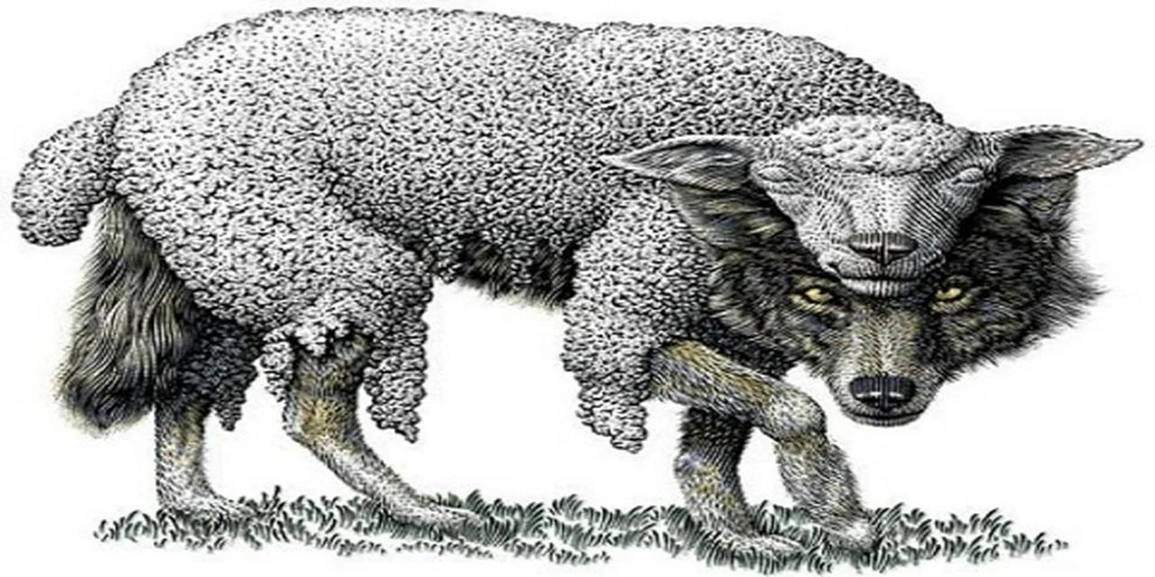Fuyez les loups déguisés en brebis