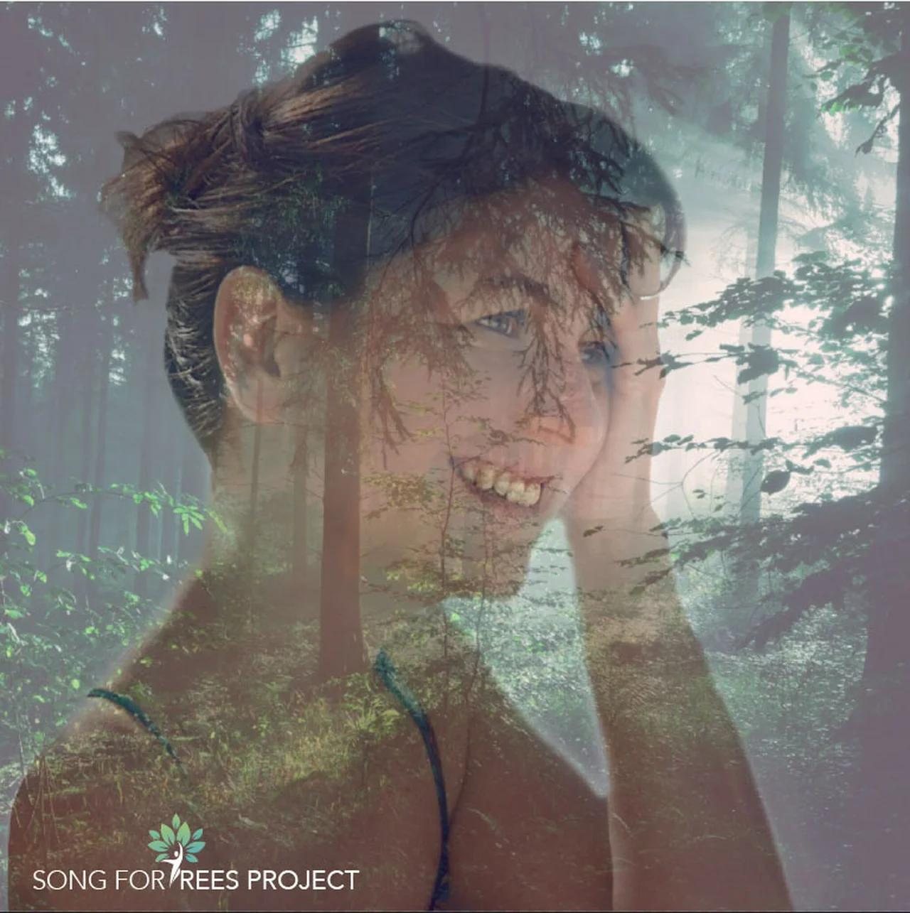 Song for Trees Project