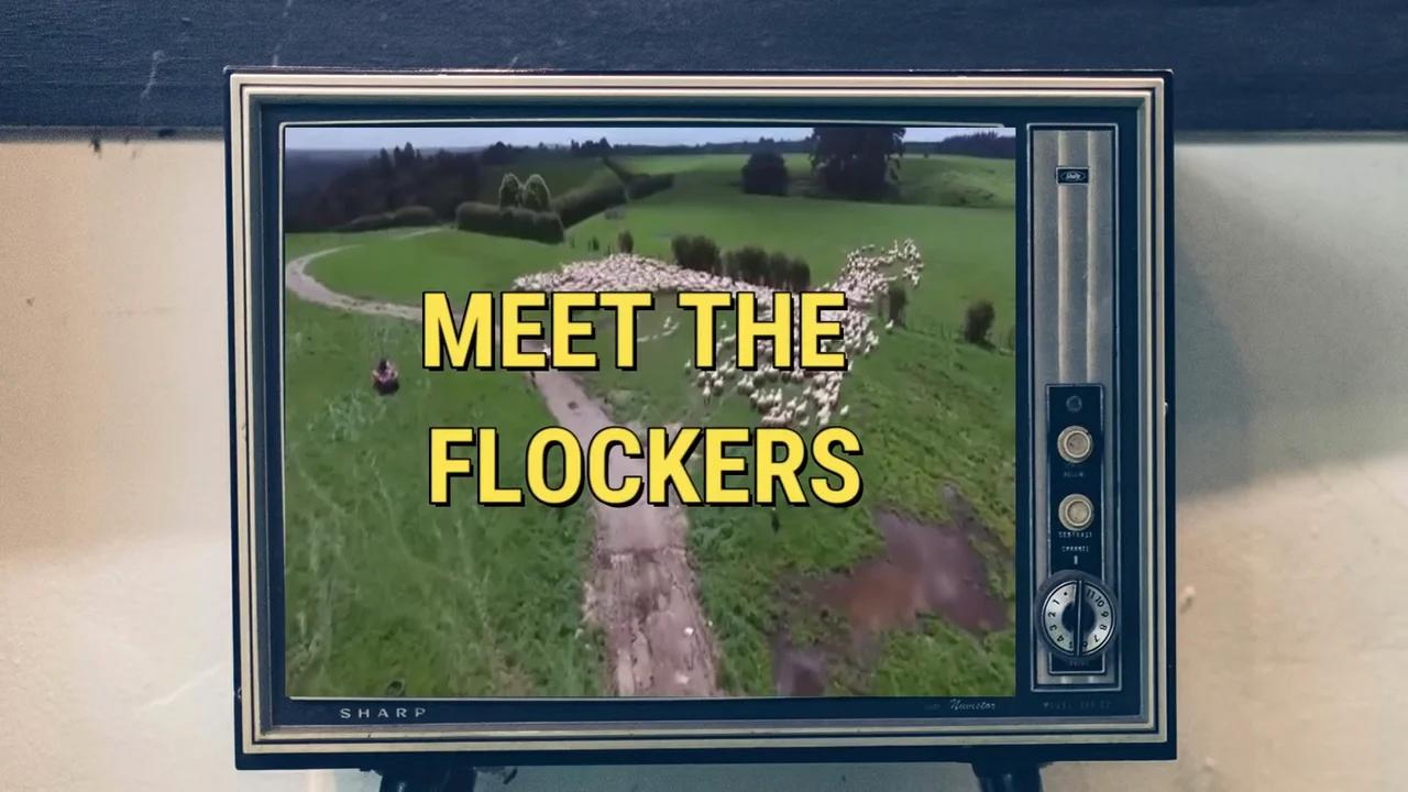 Sheep Farm 10 - Meet The Flockers - PM Boris Johnson