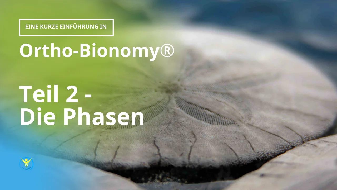 Ortho-Bionomy® - Einführung in das Phasen-Modell