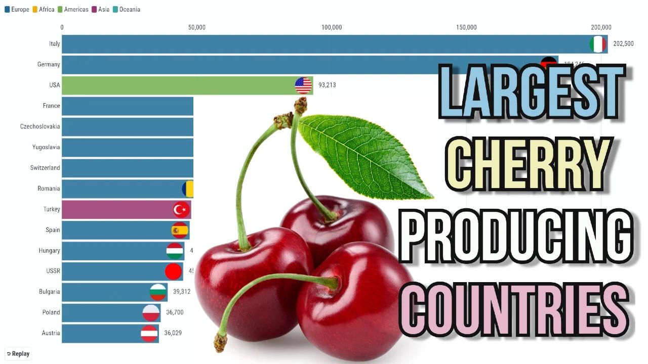 Largest cherry producing countries