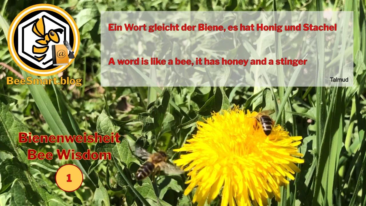 Bienenweisheit 1 / Bee Wisdom 1