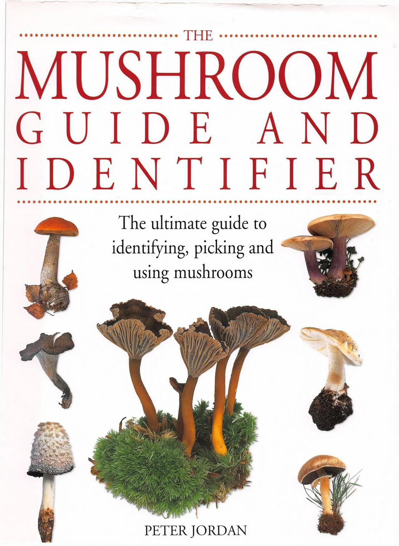 The Mushroom Guide and Identifier - The Ultimate Guide To Identifying ...