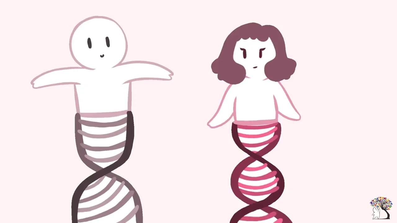 How to Understand Relationships - 8 Psychological Facts About Crushes