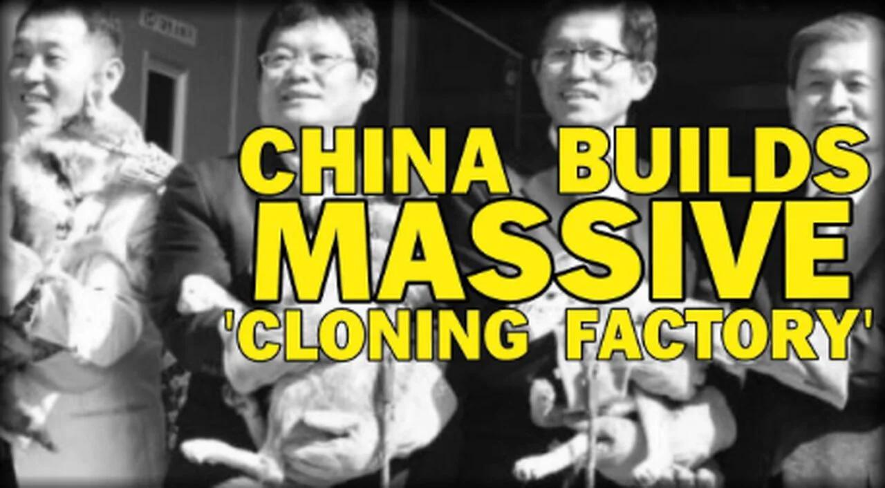 The Truth about China Builds Massive Cloning Factory