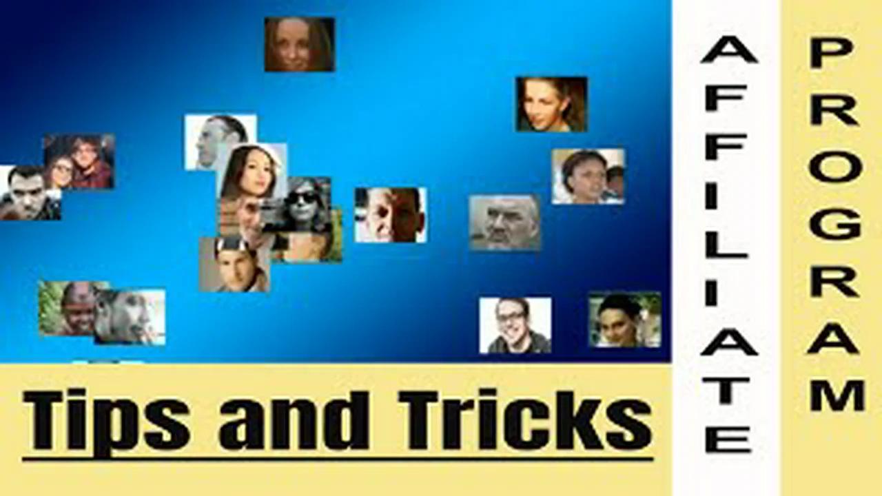 How to choose affiliate program wisely