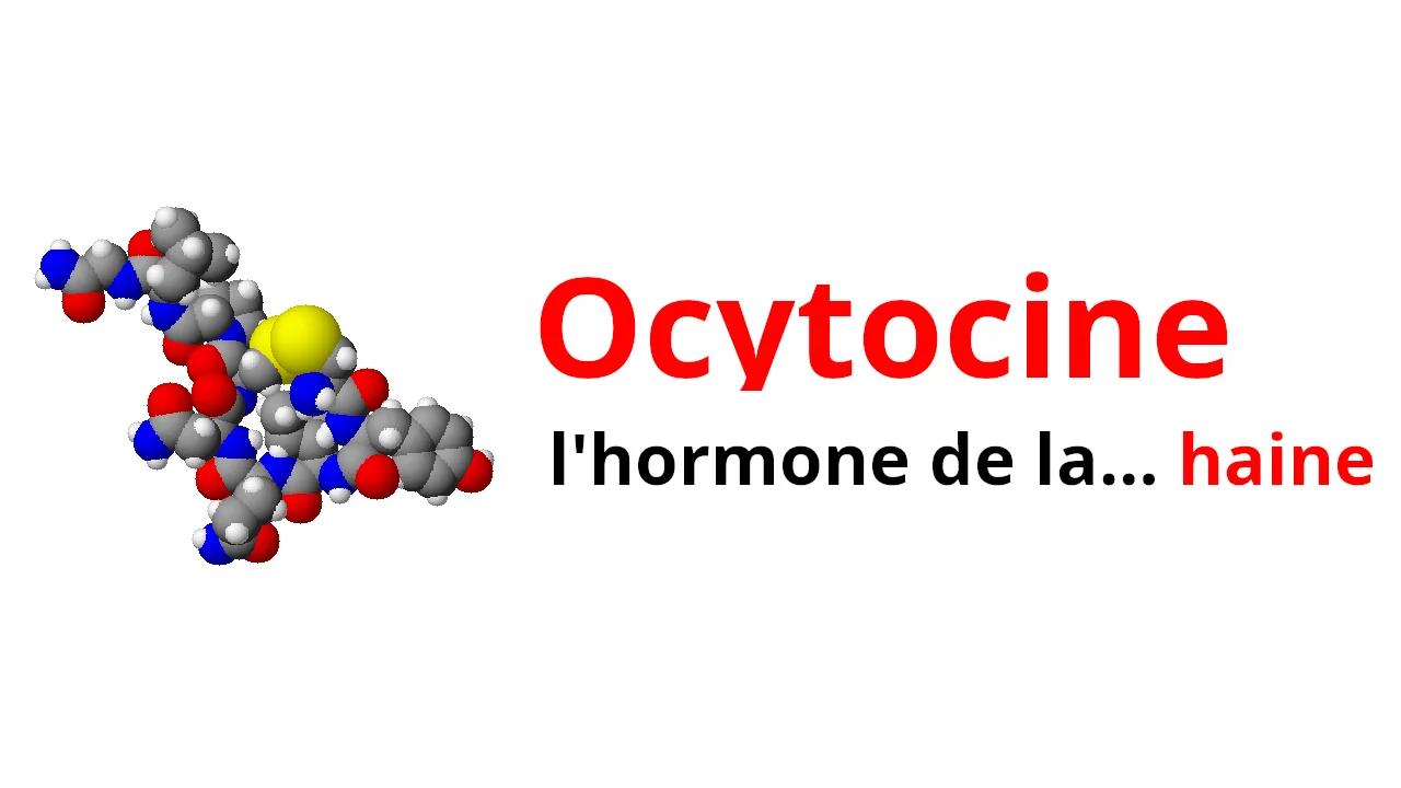 Ocytocine : l'hormone de la xénophobie