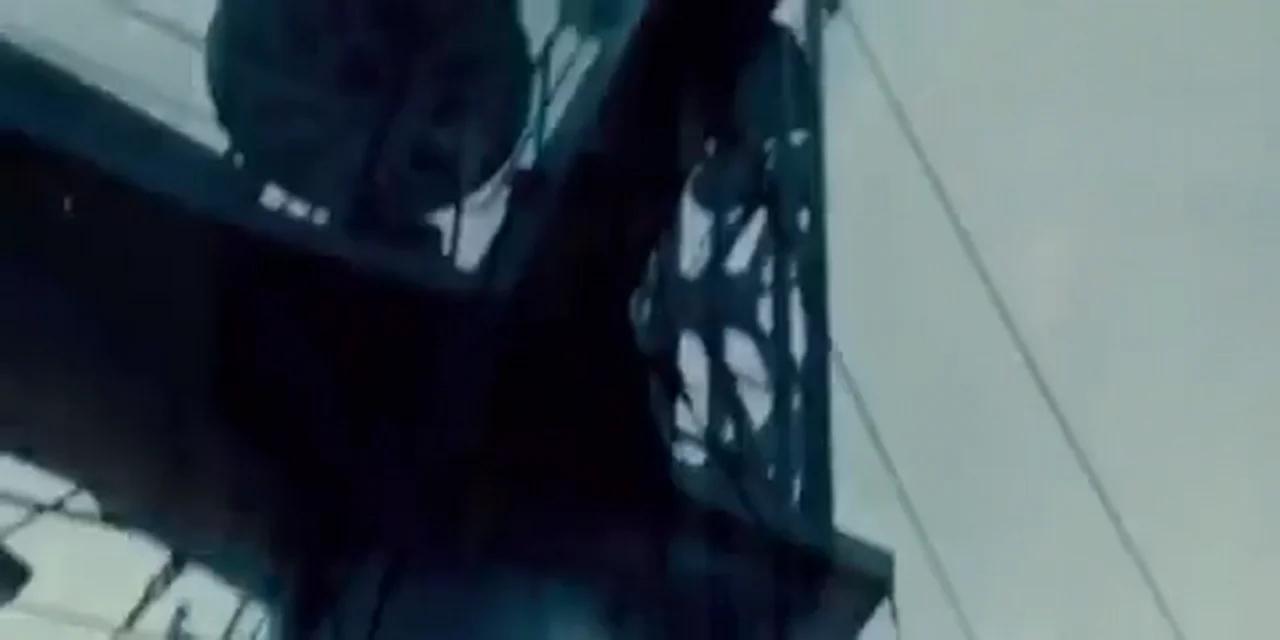 Muse “Starlight”