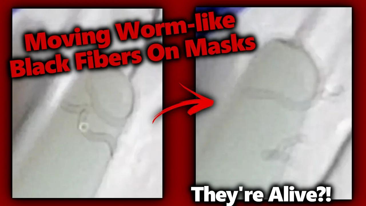 MASK WORMS?! Even More Worm-like Black Fibers Moving With No Force Applied