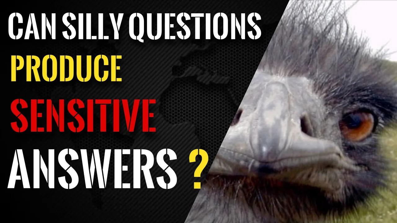 Can silly questions produce sensible answers?