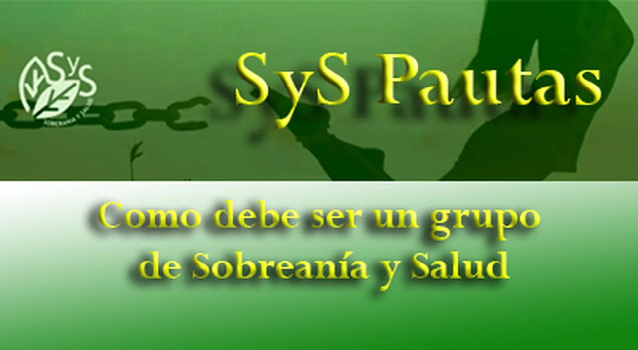 SyS pautas - Como debe ser un grupo de Soberanía y Salud.