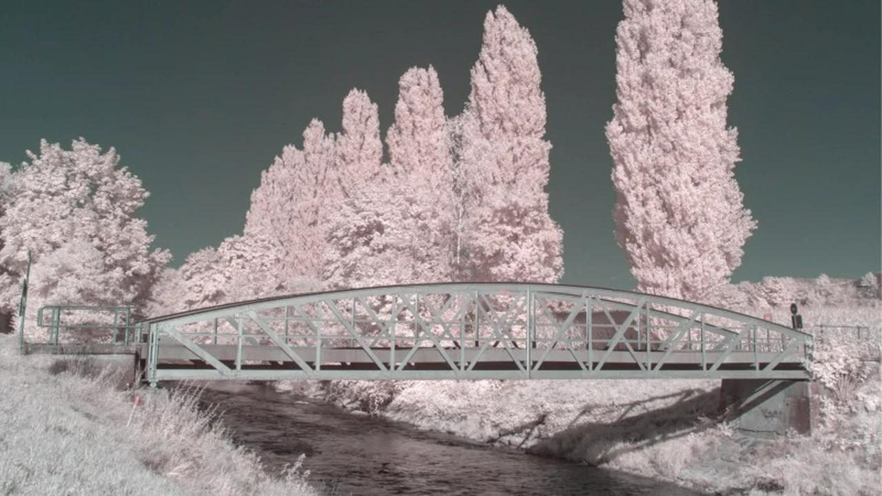 Infrared Photo - bridge