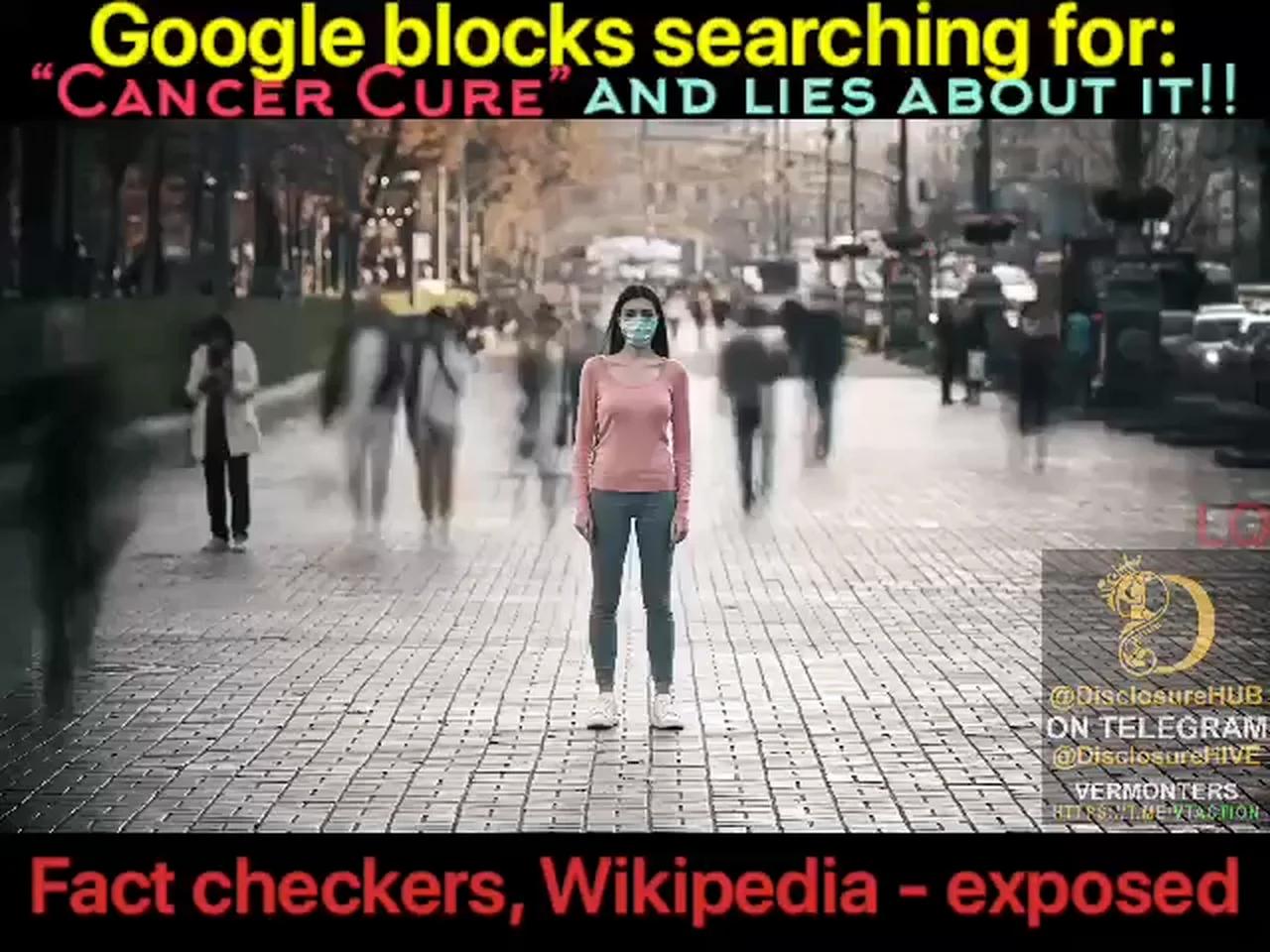 Fact Checkers