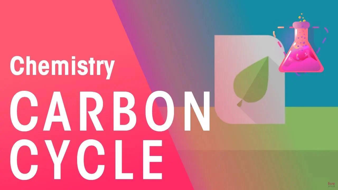 What Is The Carbon Cycle - Part 1| Environmental Chemistry | Chemistry ...