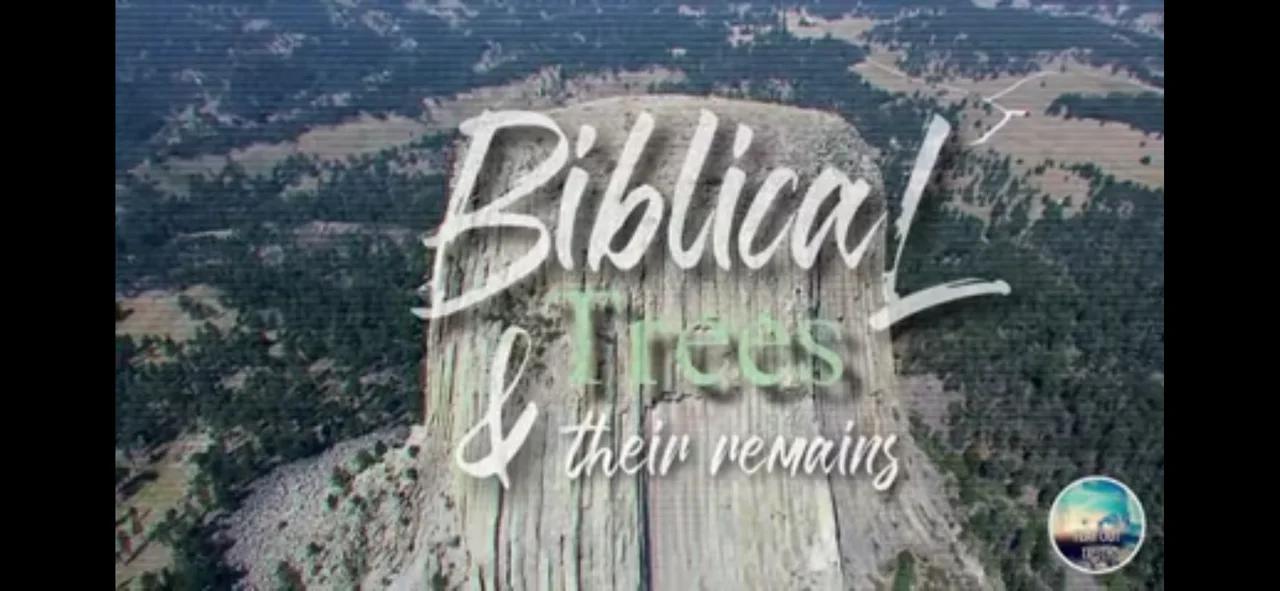 FLAT OUT TRUTH: Biblical Trees & Their Remains (Final Cut)