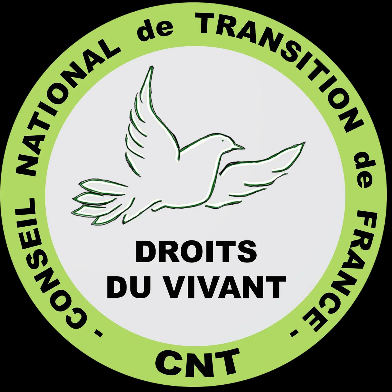 Conseil National de Transition de France