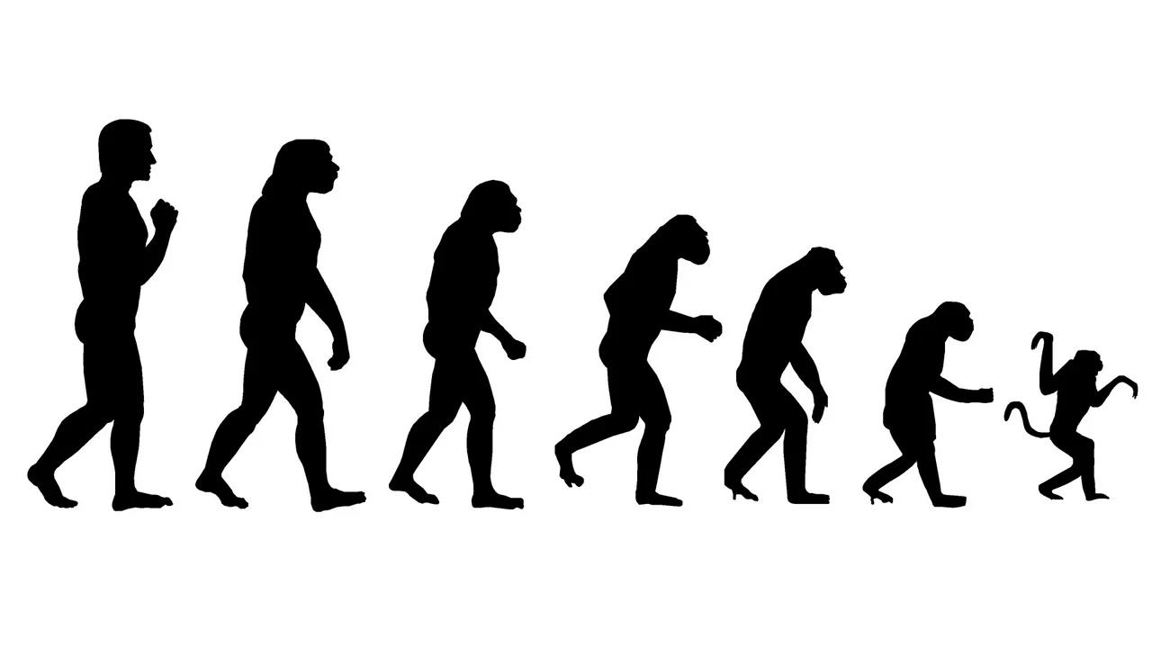 Evolution Goes into Reverse