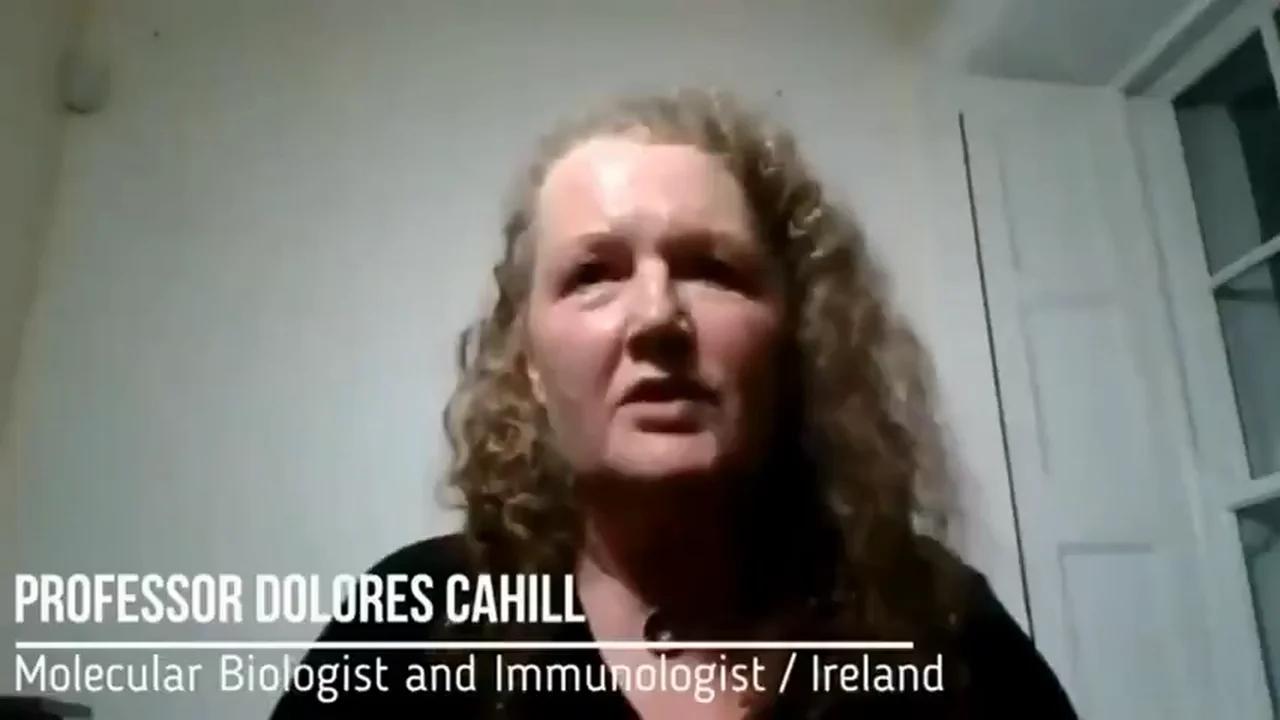 Professor Dolores Cahill ADE Cytokine Storm “all the animals died”