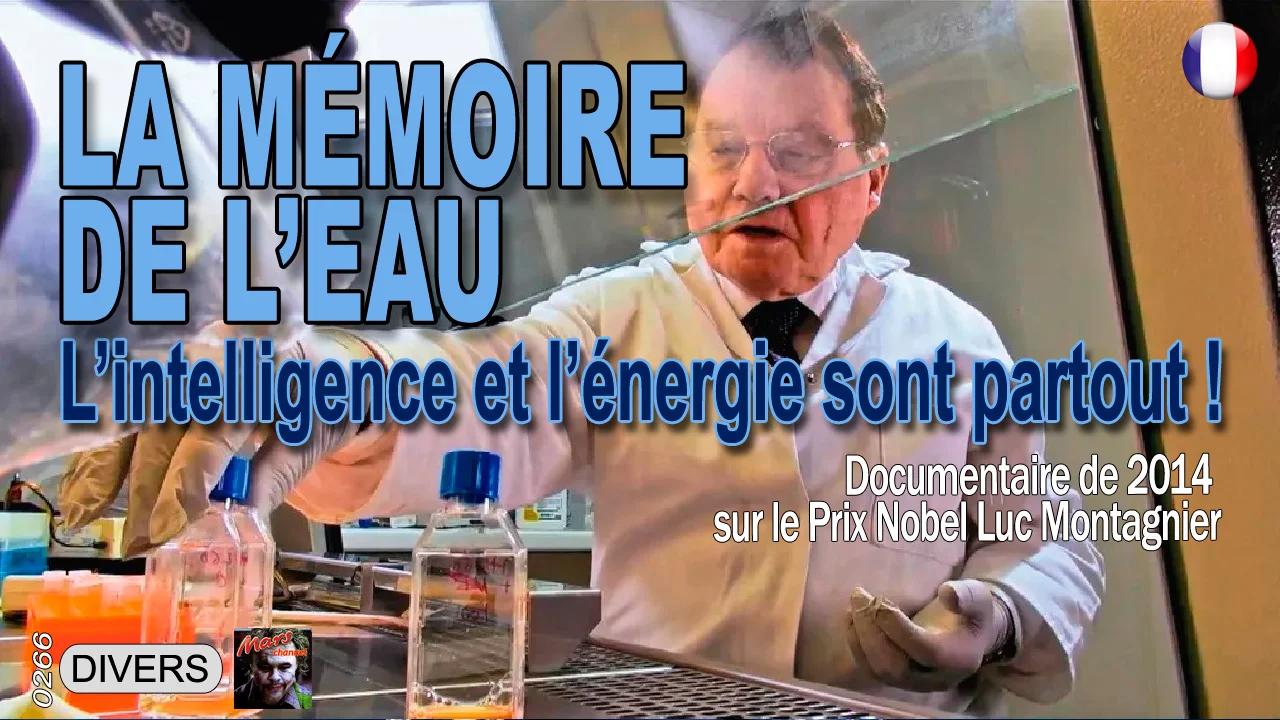 La Mémoire De L Eau L Intelligence Et L énergie Sont Partout High