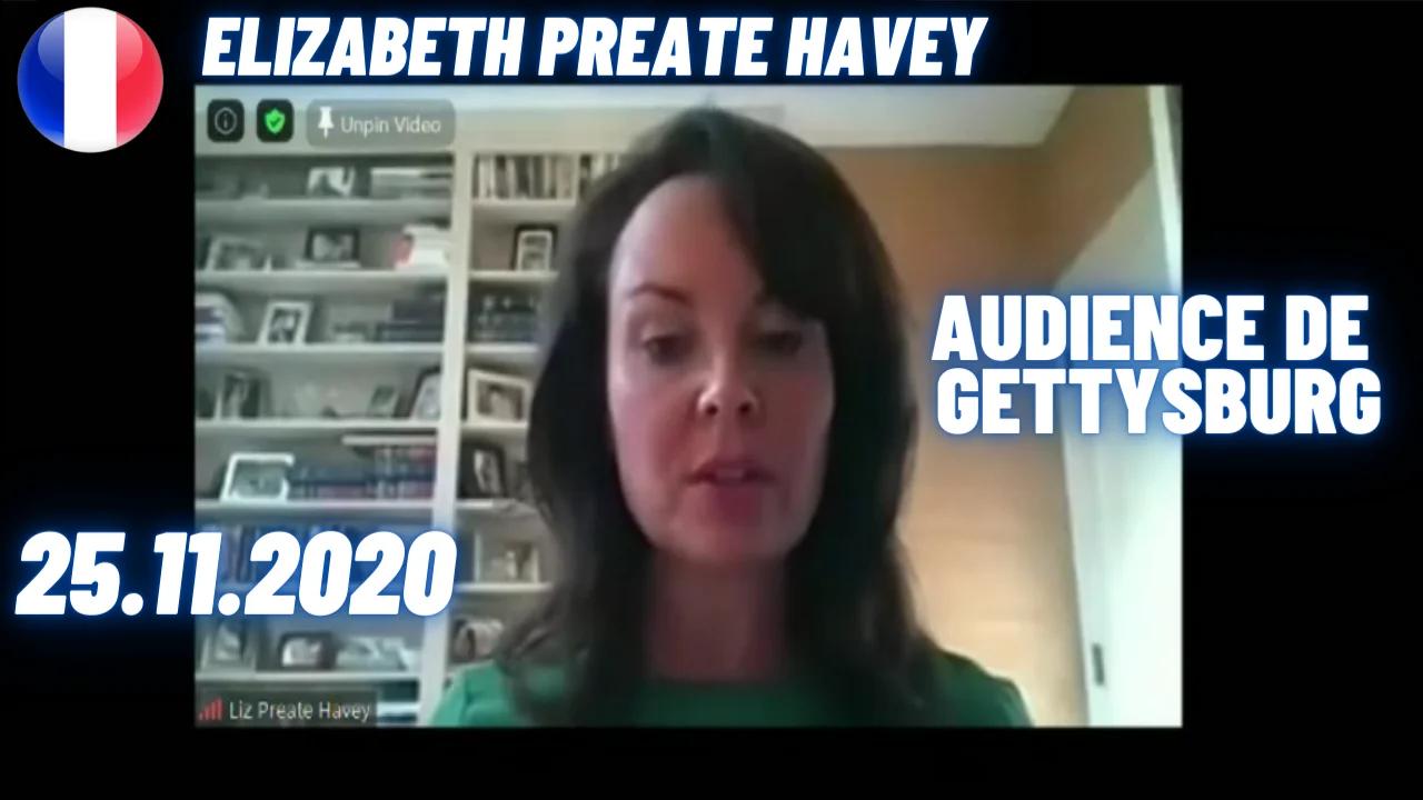 [VOSTFR] Audience Intégrité Électorale, Elizabeth Preate Havey ...
