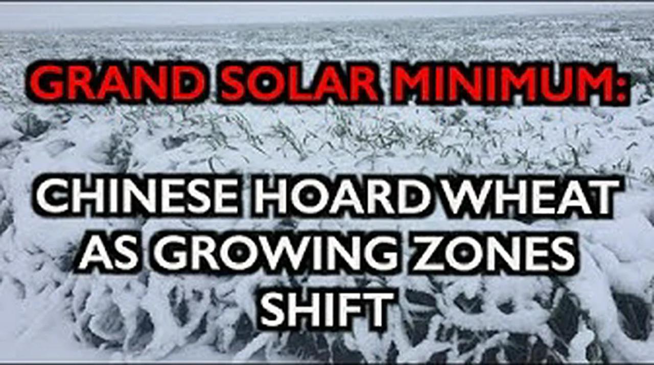 49 GRAND SOLAR MINIMUM- Chinese HOARD Grains after Cold Kills Wheat ...
