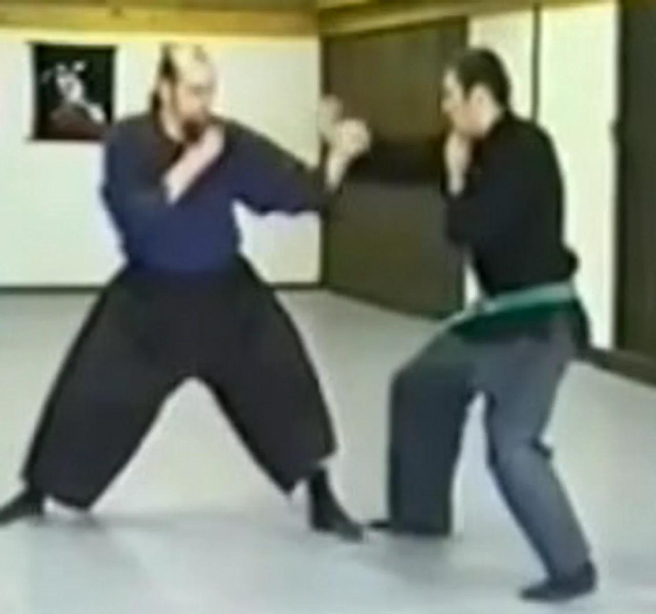 NINJUTSU - TAIJITSU - TECNICAS Y APLICACIONES por Robert Stevens - tutorial
