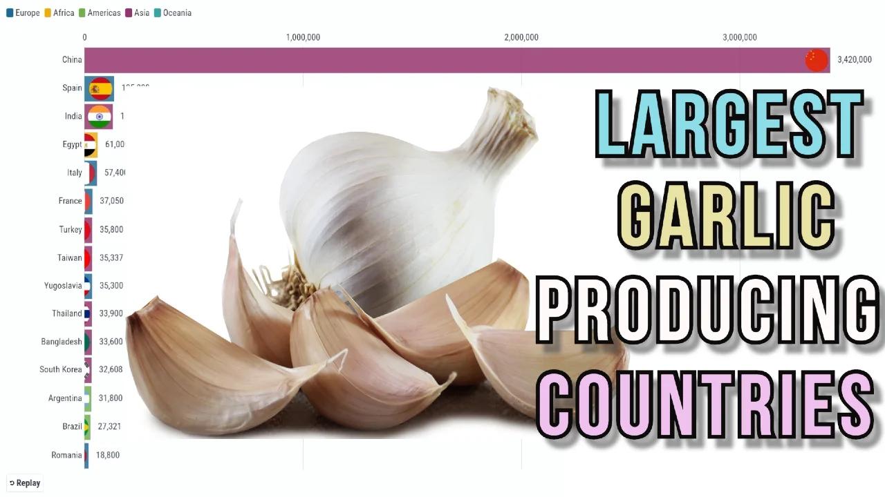 Largest garlic producing countries