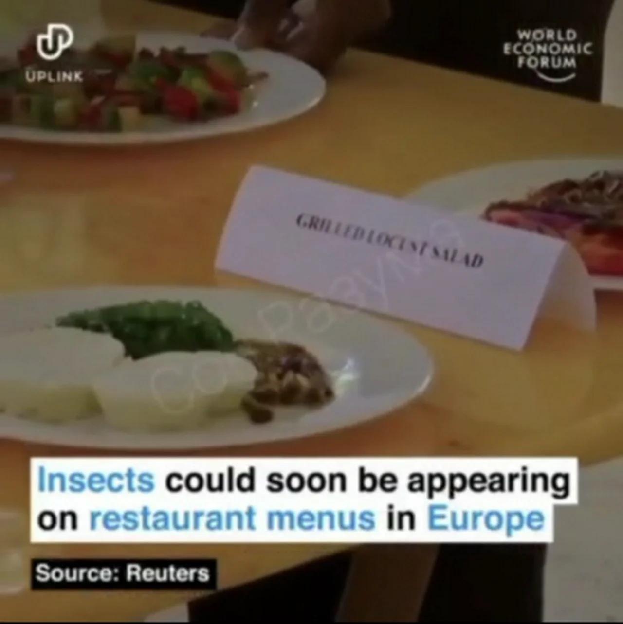 WEF: Insects are safe to eat - "eat the bugs"