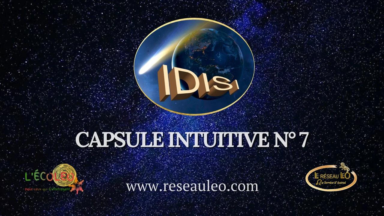 7. L'IDISI par le Réseau LEO : CAPSULE INTUITIVE N°7