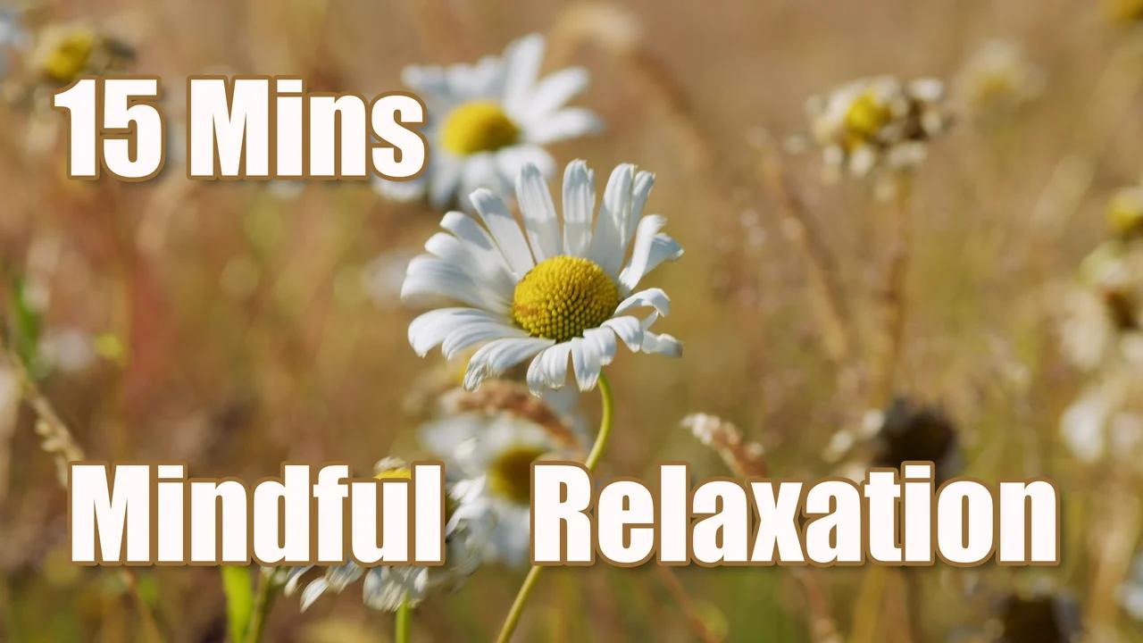 Mindful Relaxation | Relaxing Music & Scenes from Nature